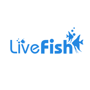 Glass Fish Indian Parambassis ranga 2cm 'Delivered to your door in ...