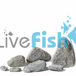Alpine Silver rock 'Delivered to your door in Australia'