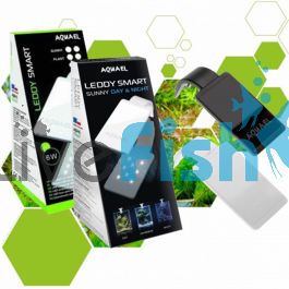 Leddy Smart 6W Plant - Black 'Delivered to your door in Australia'