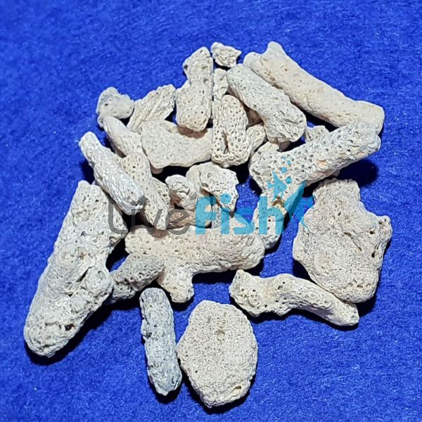 Coral Rubble 4kg 'Delivered to your door in Australia'
