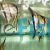 Amapa Red Back - Scalare Angelfish 4cm "Delivered to your door in ...